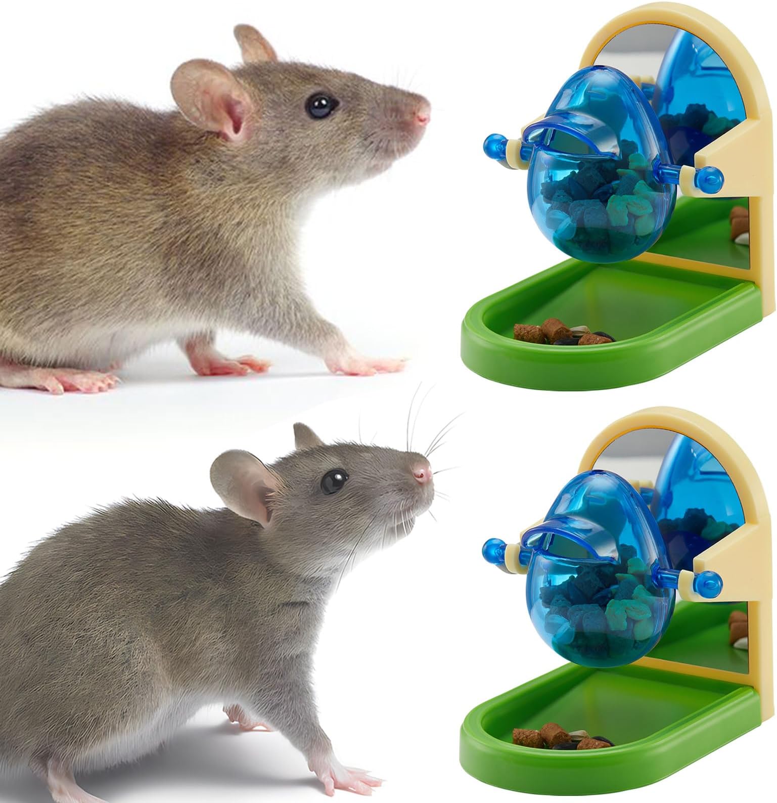 Amazon.com : Rat Enrichment Toys, Interactive Foraging Toys For Rats ...