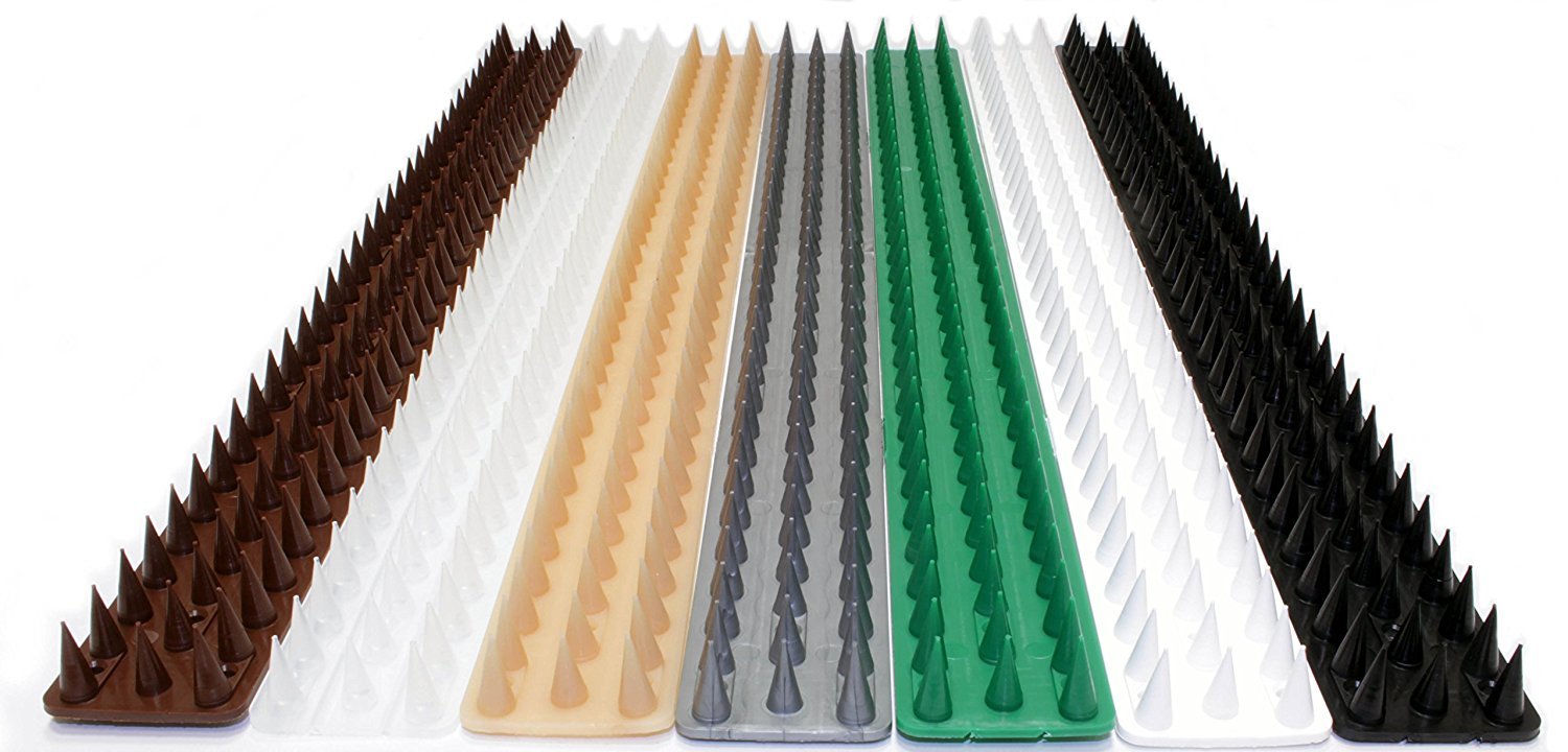 Buy Transparent Anti pigeon spikes – also Anti Cats, Anti Intruders and ...