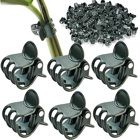 Amazon.com : AccEncyc 100 Pcs Plant Clips Orchid Clips Plant Orchid ...