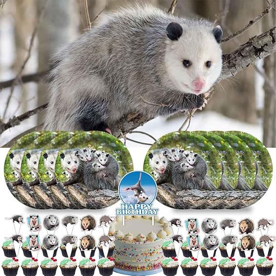 Amazon.com: Opossum Birthday Party Supplies Possum Decorations Paper ...