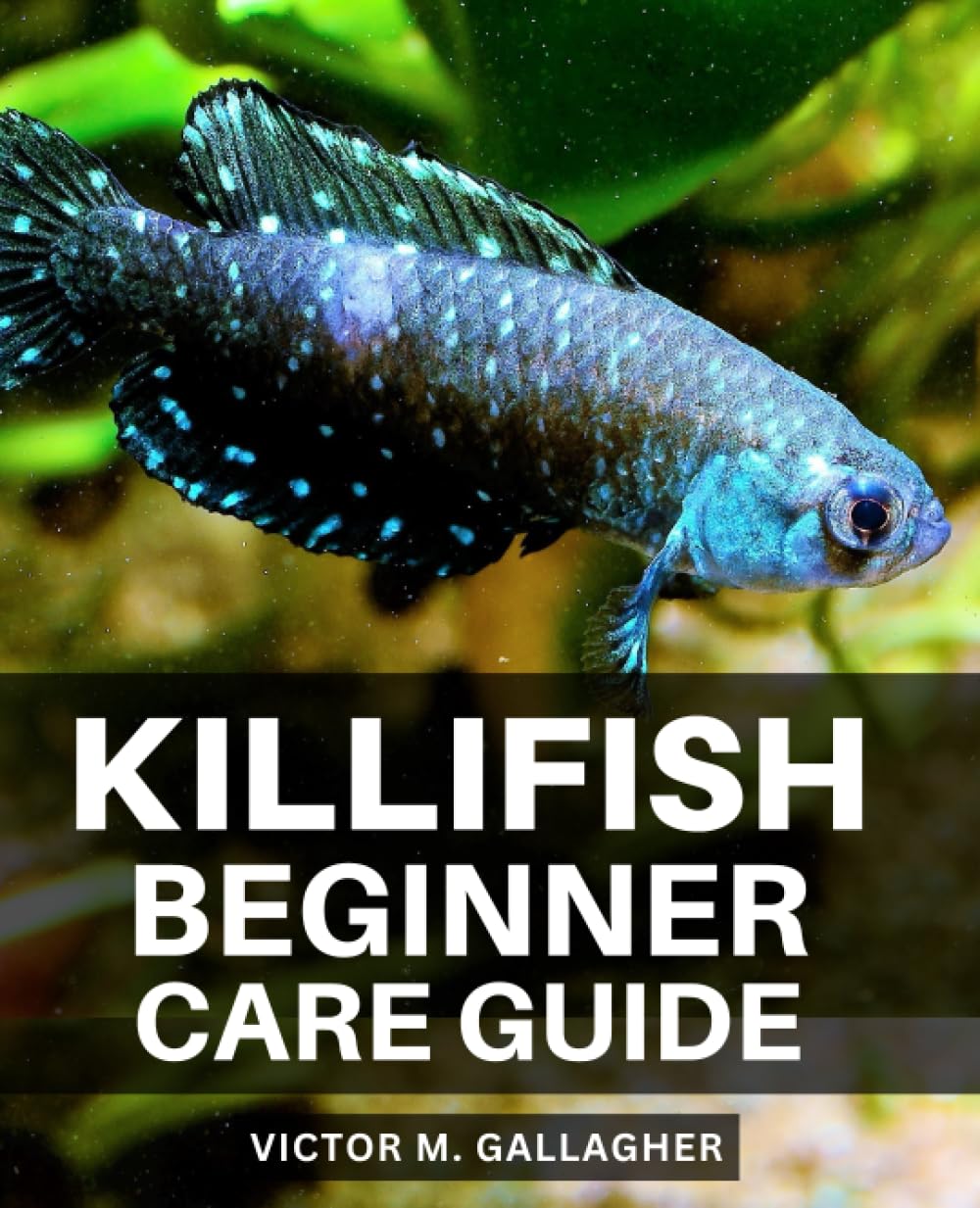 Buy Killifish Beginner Care Guide: A Guide to Keeping and Caring for ...