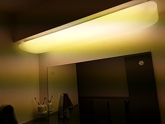 Amazon.com: Lithonia Lighting DPUFF Fluorescent Puff Diffuser, 20 watts ...