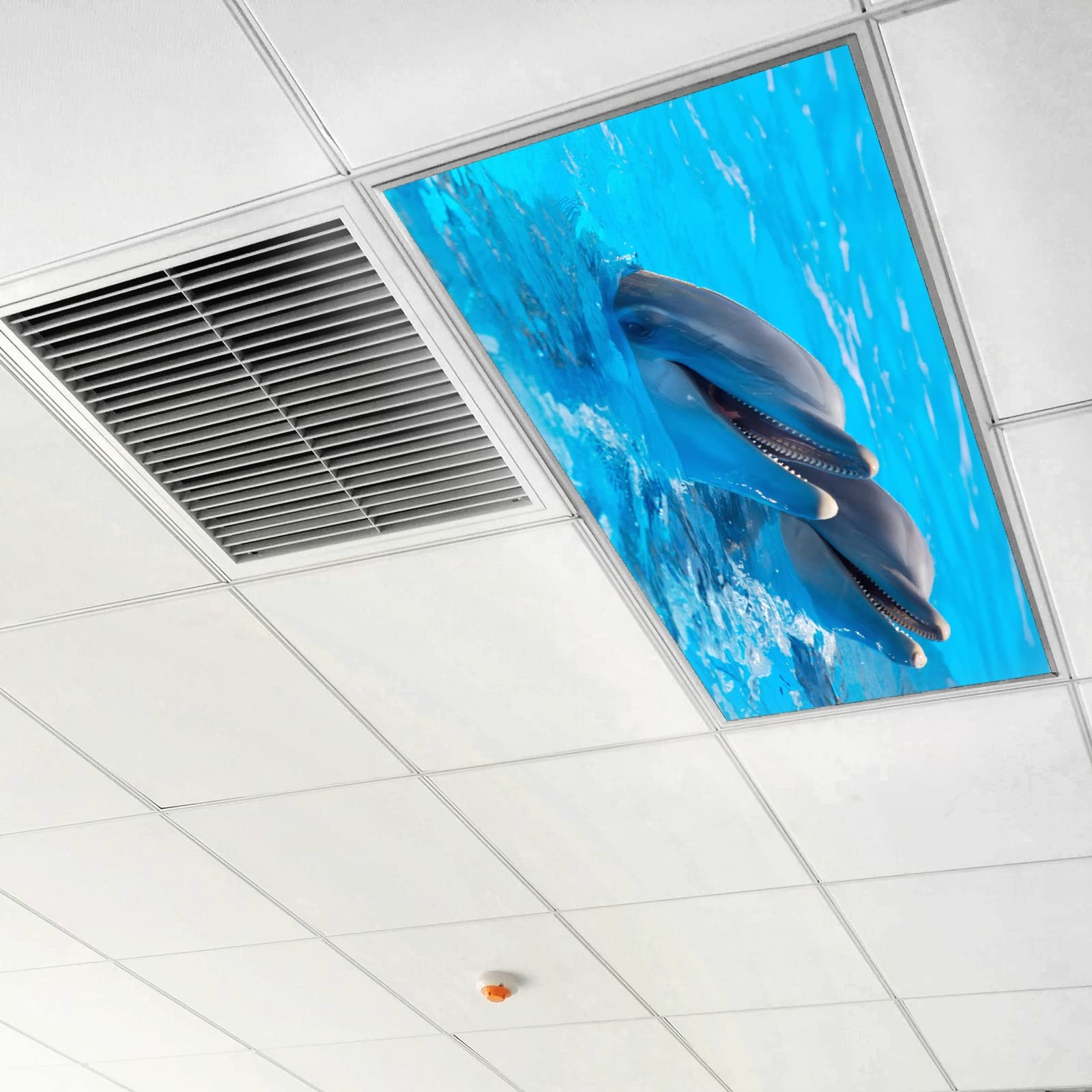 Fluorescent Lights Covers With Safety Fluorescent Light Covers For