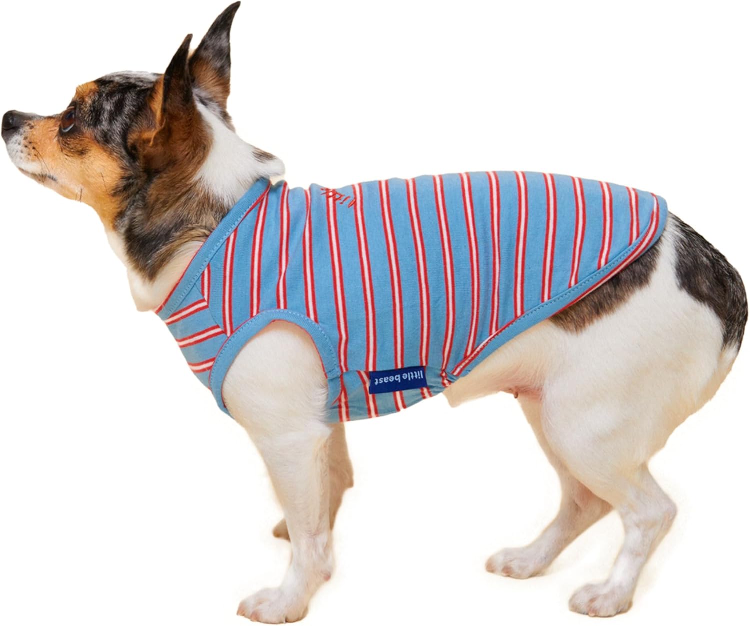 Amazon.com : Little Beast Dog Clothes, Dog Clothes for Large Dogs, for ...