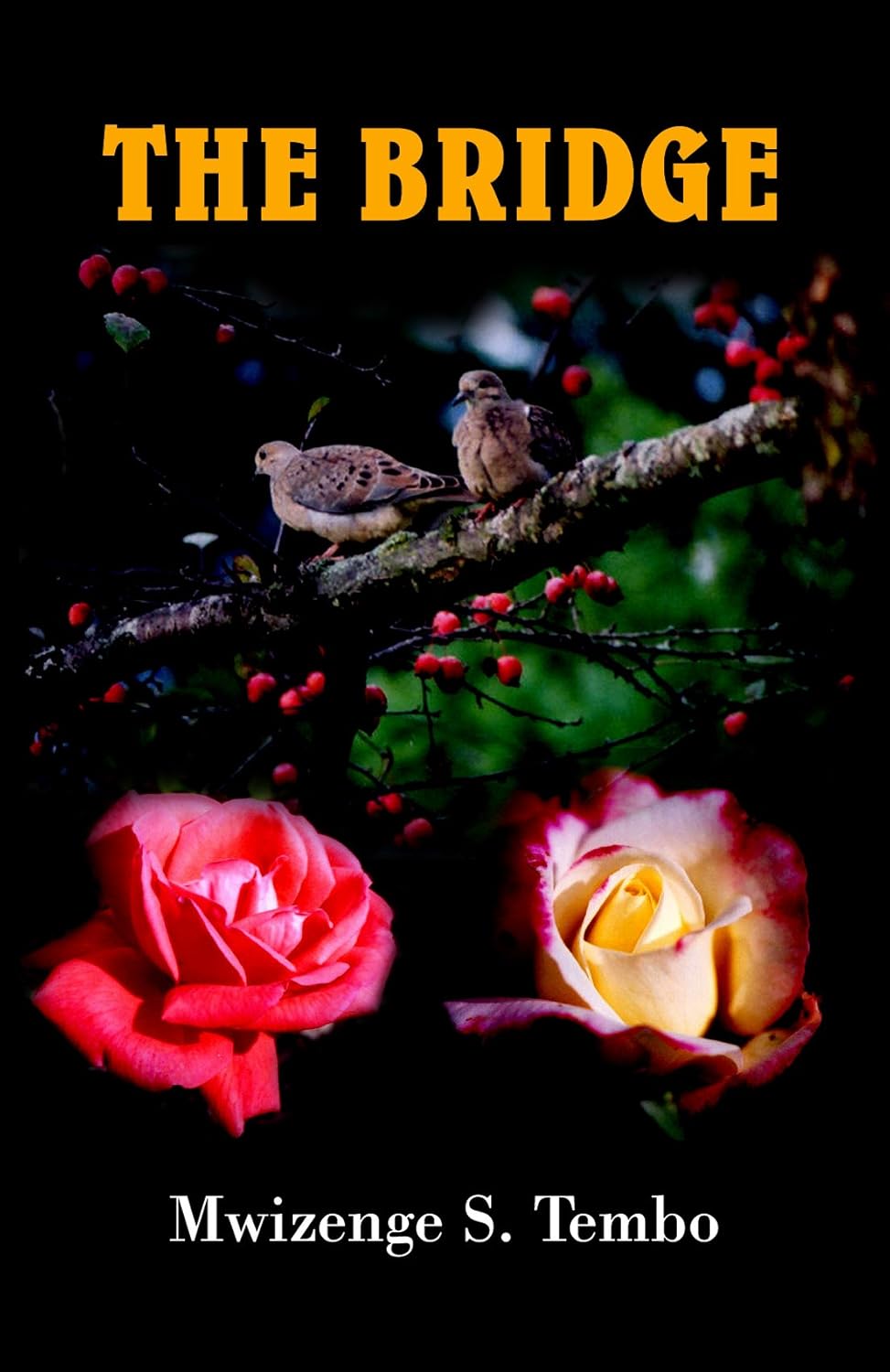 The Bridge: Mwizenge S. Tembo: 9781607973324: Amazon.com: Books