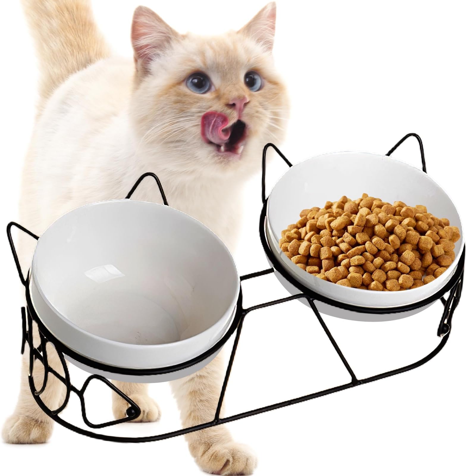 CanadianCat Company | Katzennapf erhöht, Futternapf Katze Cat Diner mit ...