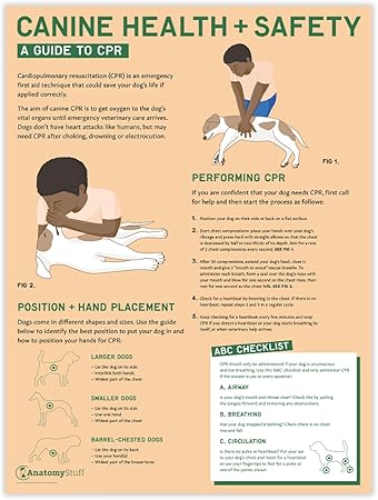 Anatomy Stuff Canine Health and Safety: A Guide to CPR for Dogs Poster ...