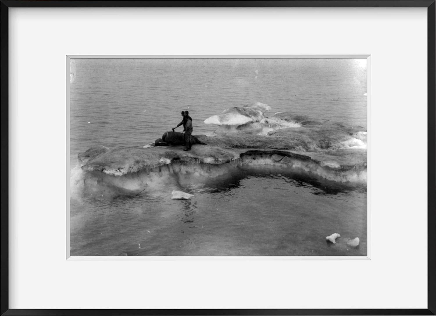 Amazon.com: INFINITE PHOTOGRAPHS 1897 Photo Eskimo Cutting Head Off ...