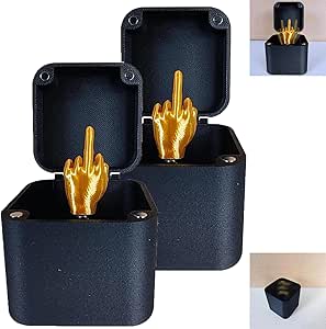 Amazon.com: QRXIUST Middle Finger Surprise Gift Box, Middle Finger in a ...