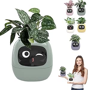 Amazon.com : Interactive Plant Pot with Artificial Intelligence, Smart ...