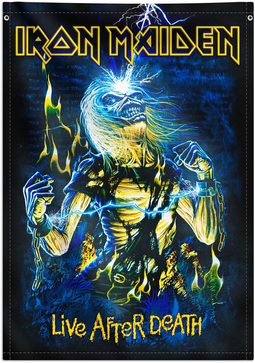 Grupo Erik - Poster Iron Maiden Fear Of The Dark - Deco Maison ...