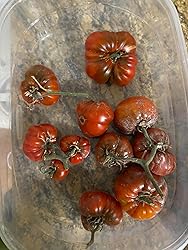 Amazon.com : MASTERBLEND 4-18-38 Complete Combo Kit Fertilizer Bulk (2. ...