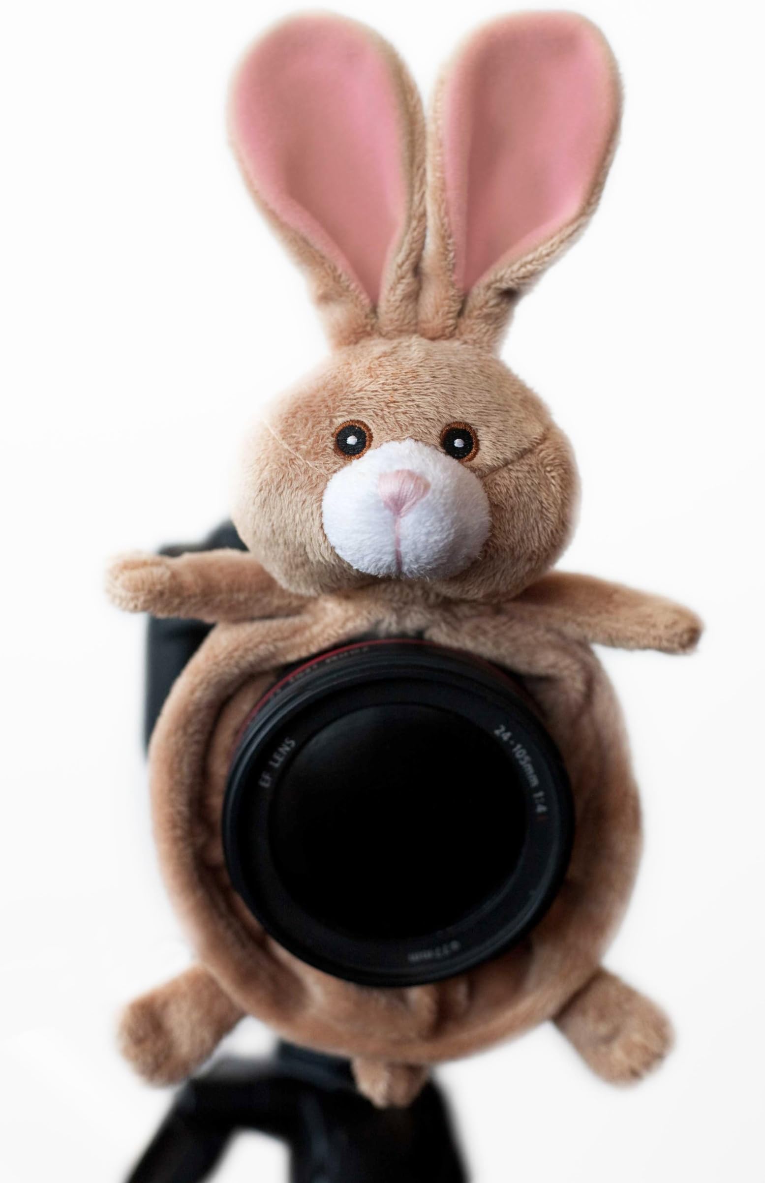 Amazon.com : Shutter Huggers BUN001 Camera Lens Stand (Brown) : Digital ...