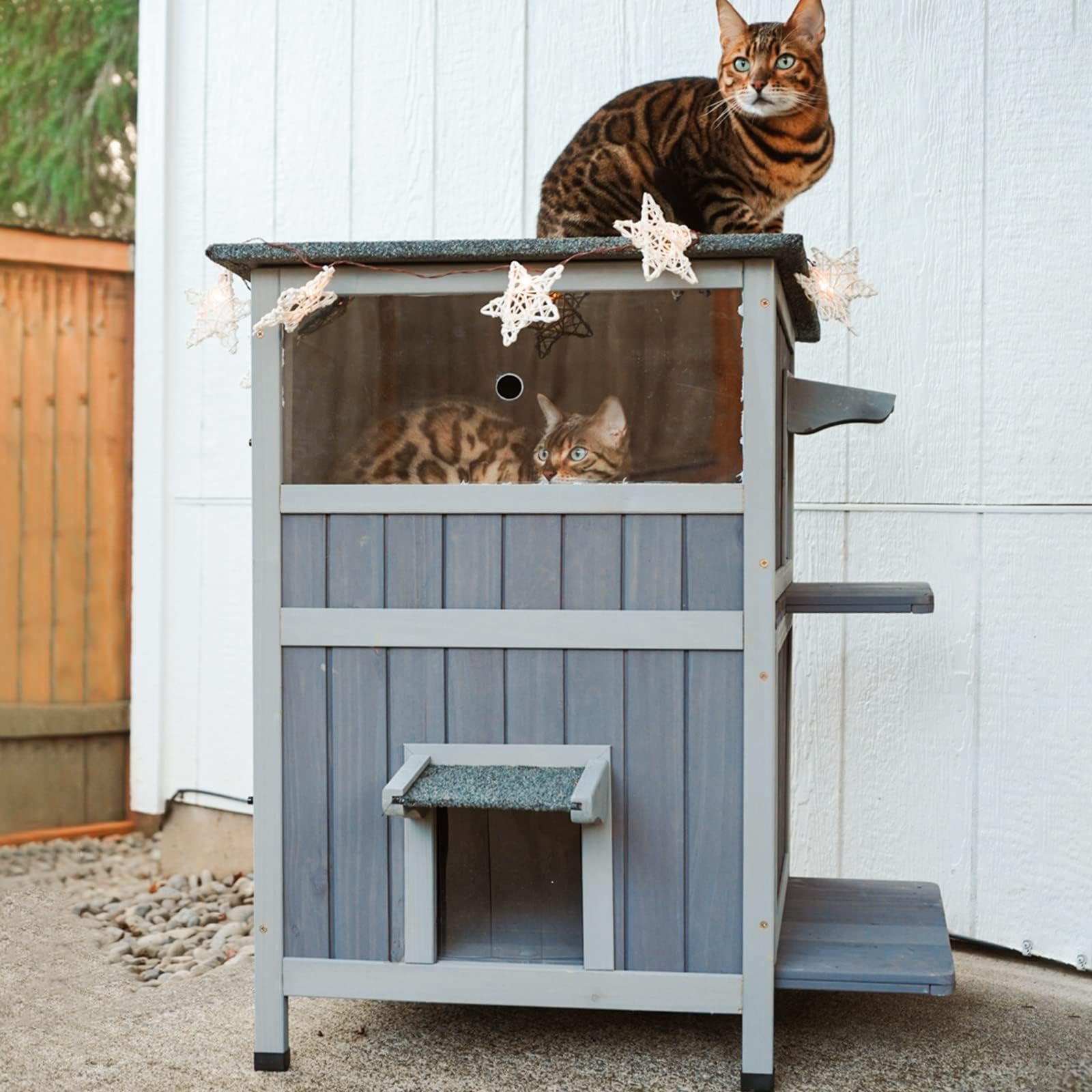 Amazon.com: RMHDSLF Outdoor Cat House Weatherproof, with Insulated All ...