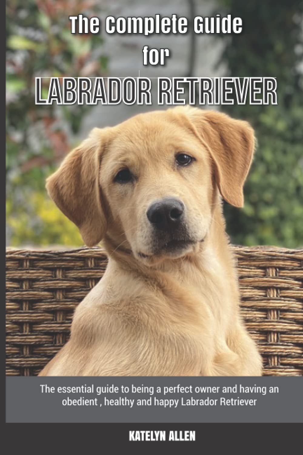 The Complete Guide for Labrador Retriever: The essential guide to being ...