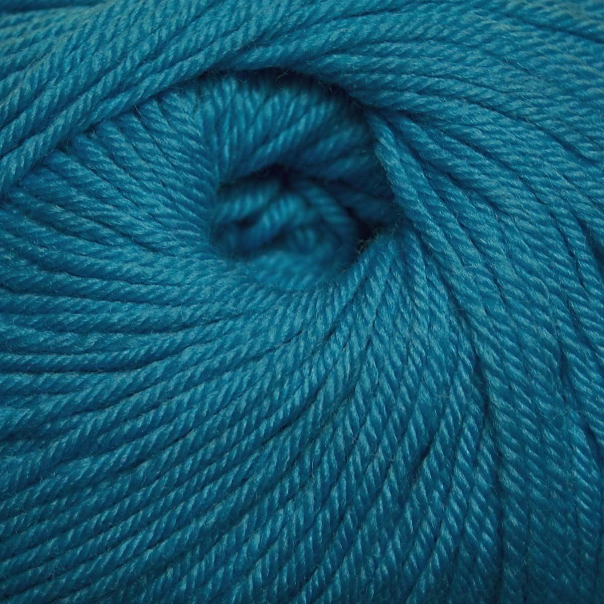 Amazon.com: Cascade Yarns - Cascade 220 - Twilight Blue 9568