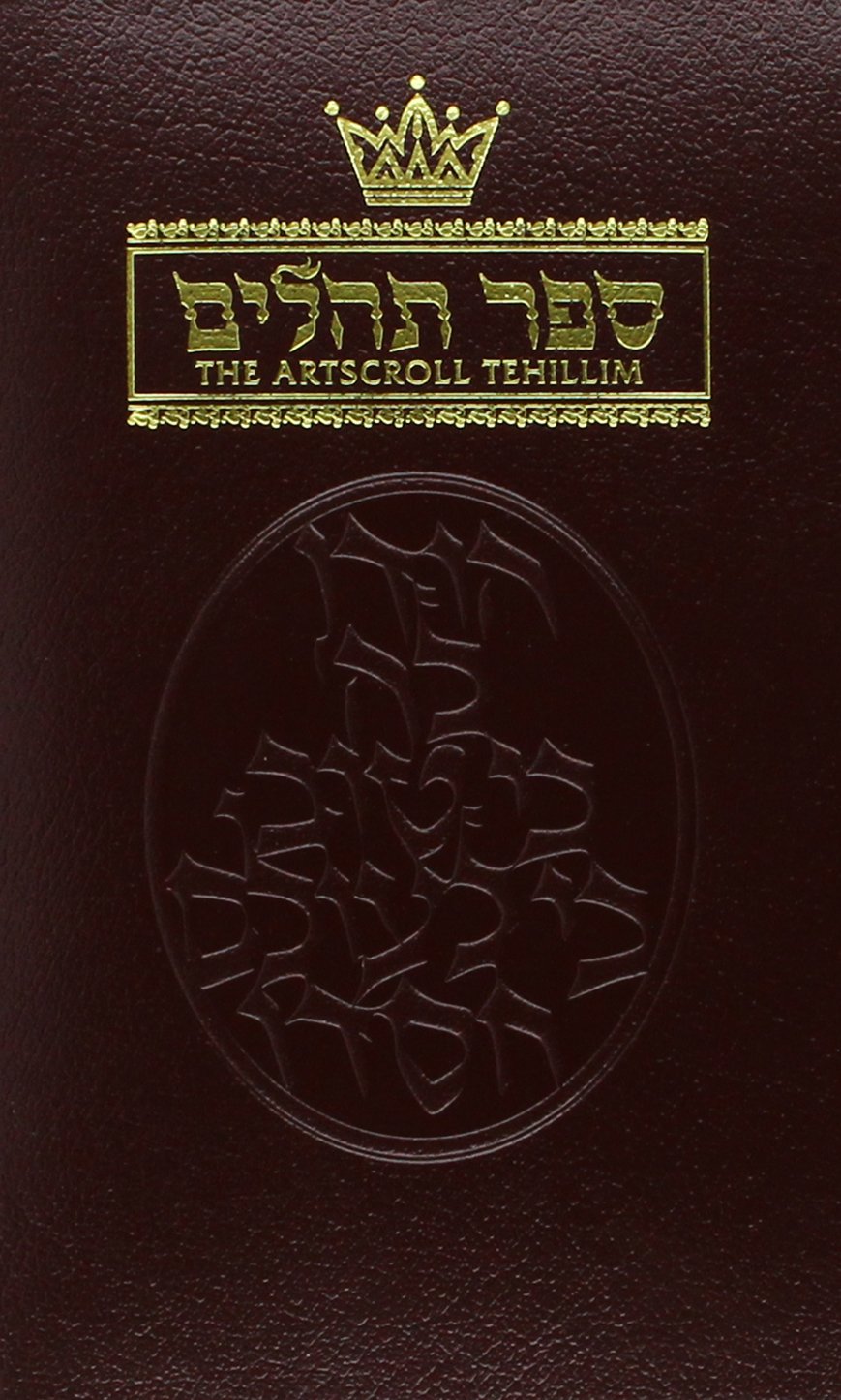 Tehillim / Psalms, Vol. 1: Rabbi Hillel Danziger: 9781578199396: Amazon ...