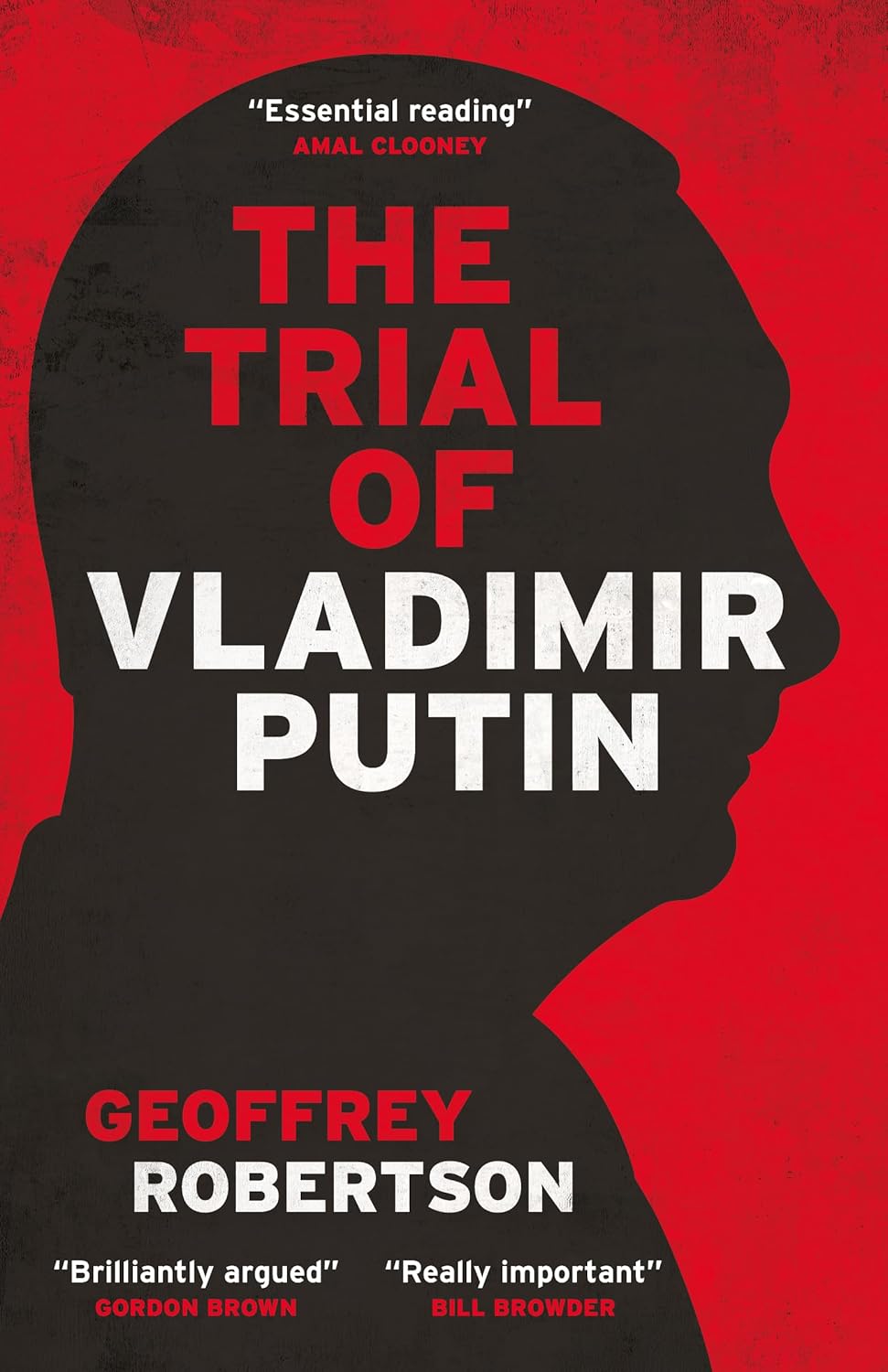 The Trial of Vladimir Putin: Robertson, Mr Geoffrey: 9781785908675 ...