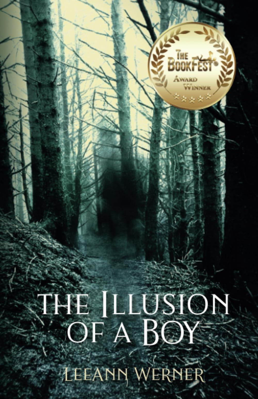 Amazon.com: The Illusion of a Boy: 9781733006200: Werner, LeeAnn: Books