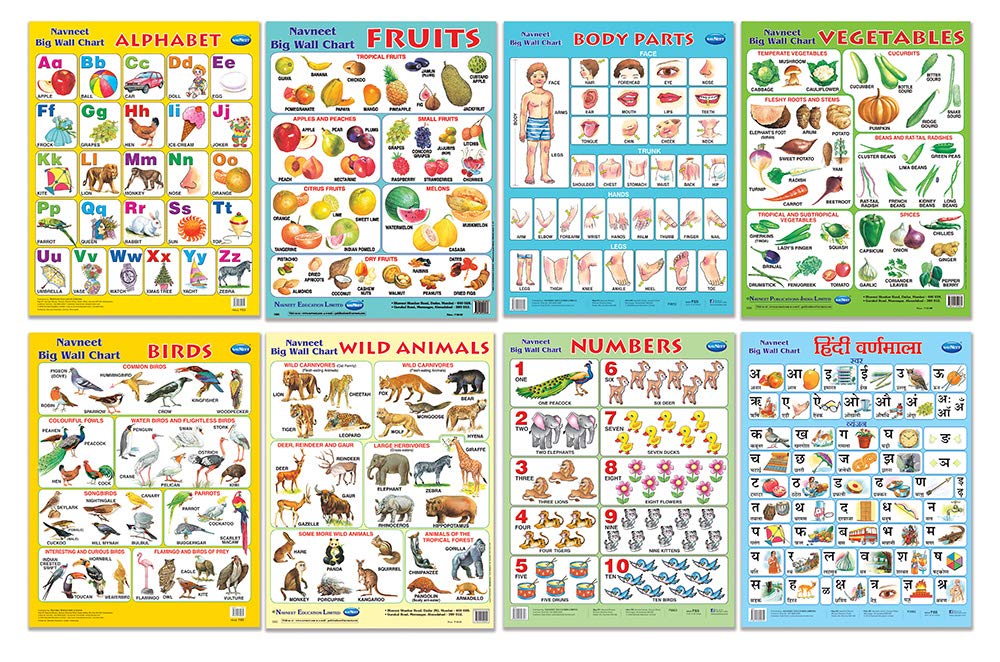 Buy Navneet Navneet Big Wall Charts Book Online at Low Prices in India ...