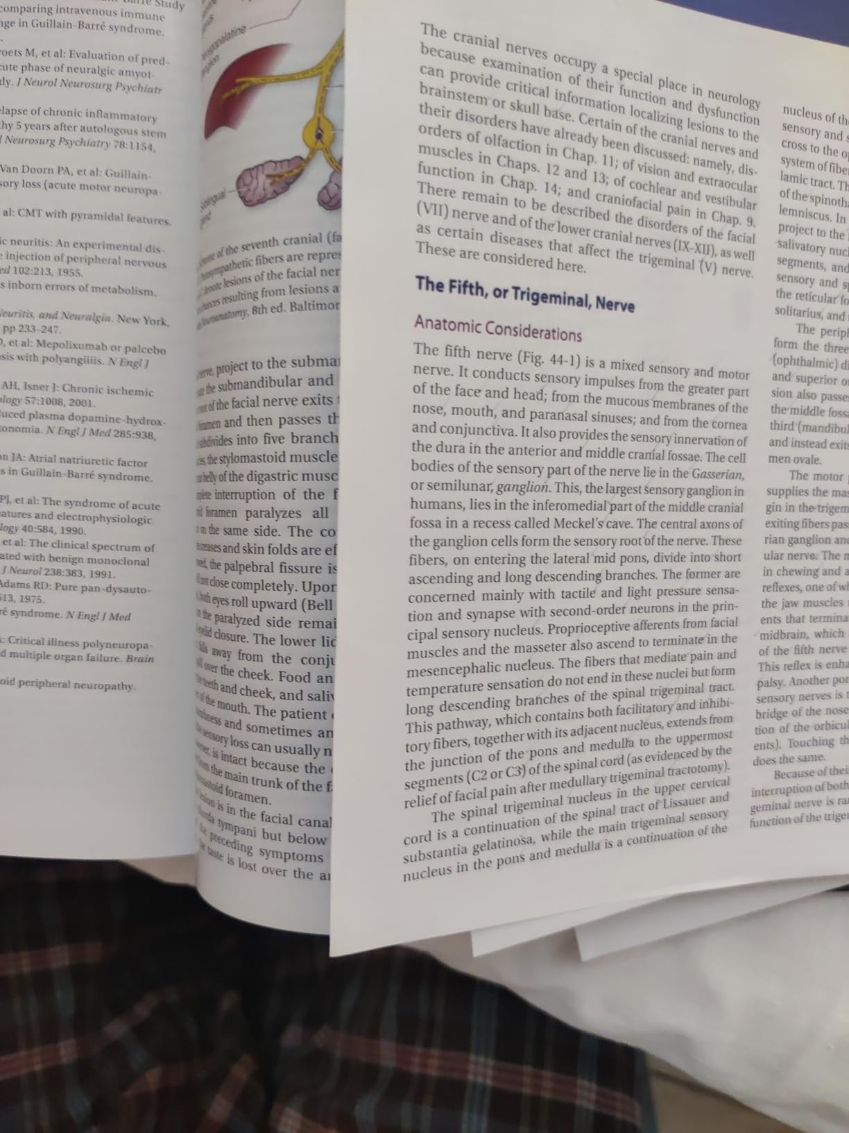 Buy Adams and Victor's Principles of Neurology Book Online at Low ...