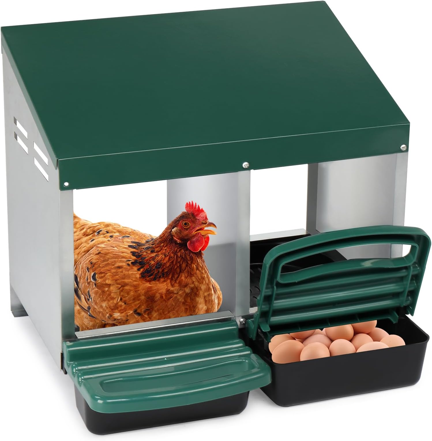 Amazon.com: Outvita Chicken Nesting Box, 2 Compartments Chicken Laying ...