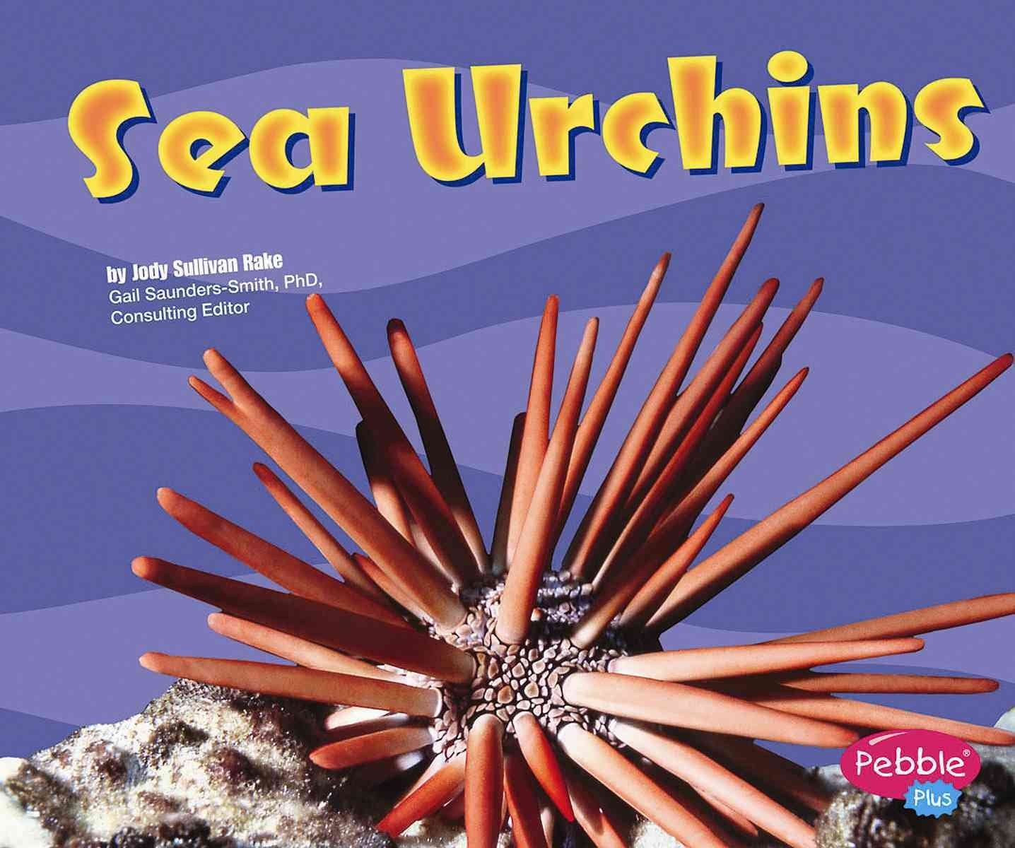 Sea Urchins (Pebble Plus: Under the Sea): Rake, Jody Sullivan ...