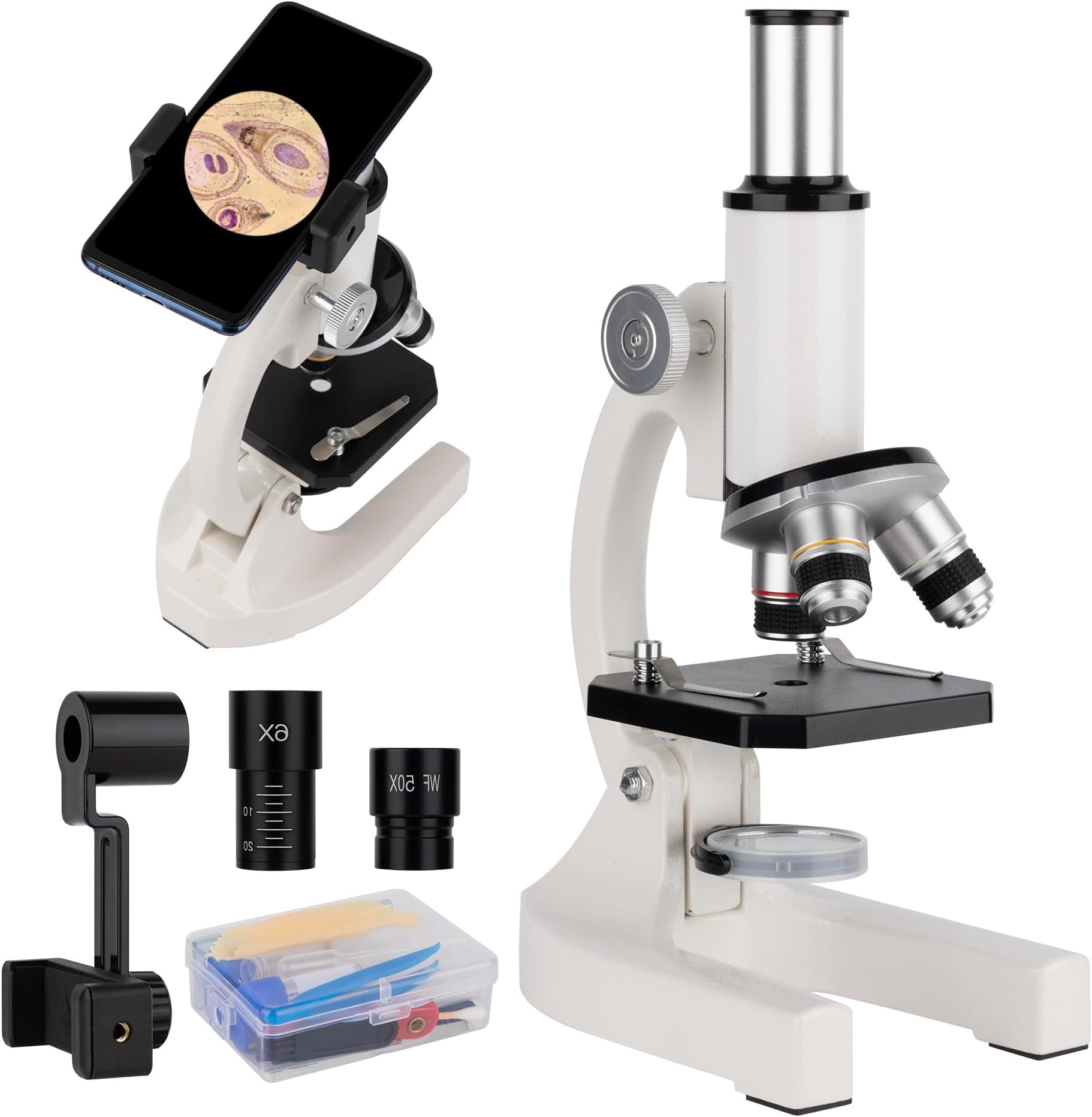 Microscope, 200x-5000x Compound Biological Microscopes With Microscope ...