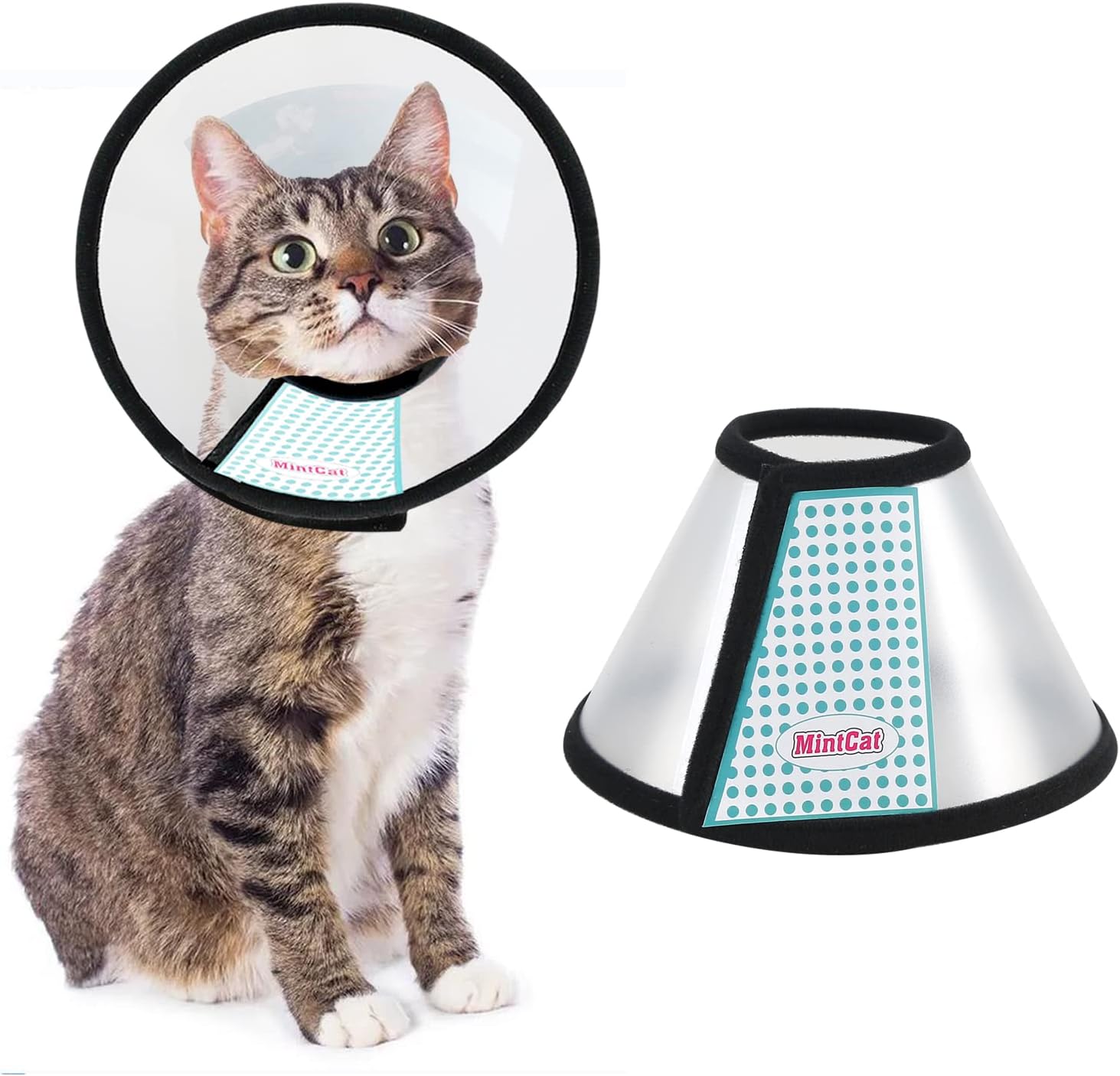 Amazon.com : Cat Cone Dog Cone Collar Soft Dotted Recovery Collar After ...