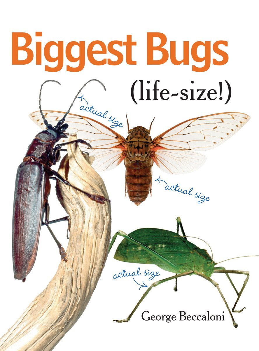 Biggest Bugs Life-Size: Beccaloni, George: 9781554076994: Amazon.com: Books