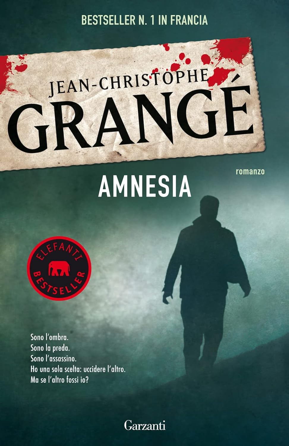Buy Amnesia Book Online at Low Prices in India | Amnesia Reviews ...