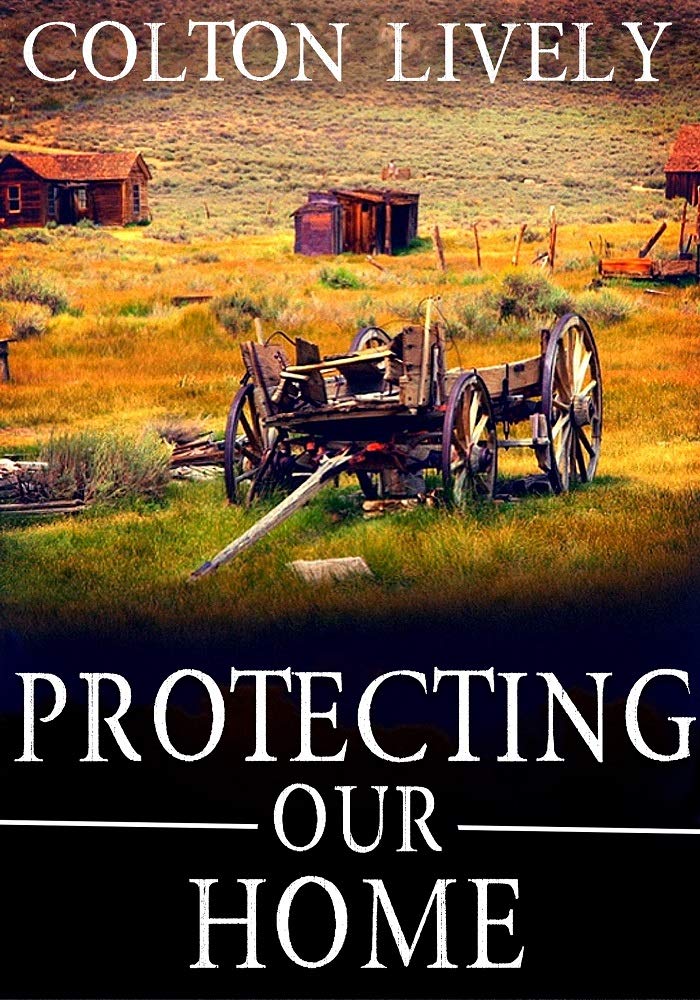 Protecting Our Home: EMP Survival in a Powerless World eBook : Lively ...