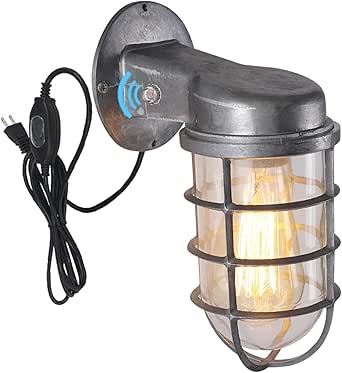 Kiven Waterproof Exterior Outdoor/Indoor Cage Light, Plug-in Wall Mount ...