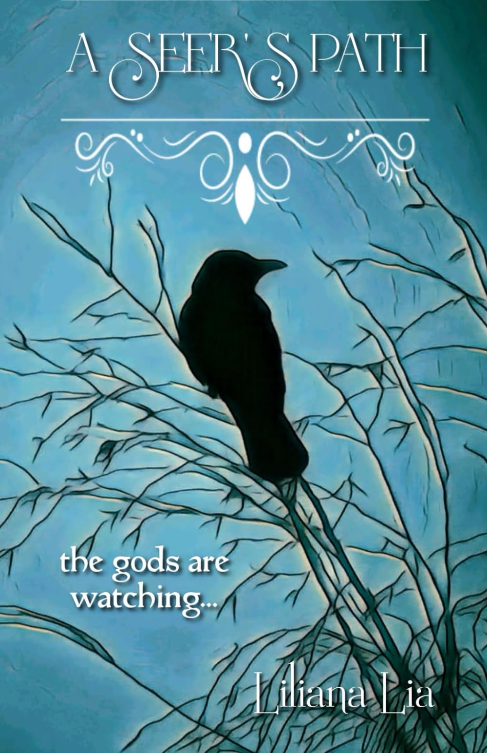 Amazon.com: A seer's path: 9781739131562: Lia, Liliana: Books