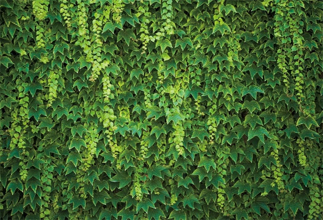 Amazon.com : LFEEY 10x7ft Green Grass Vinyl Photography Background ...
