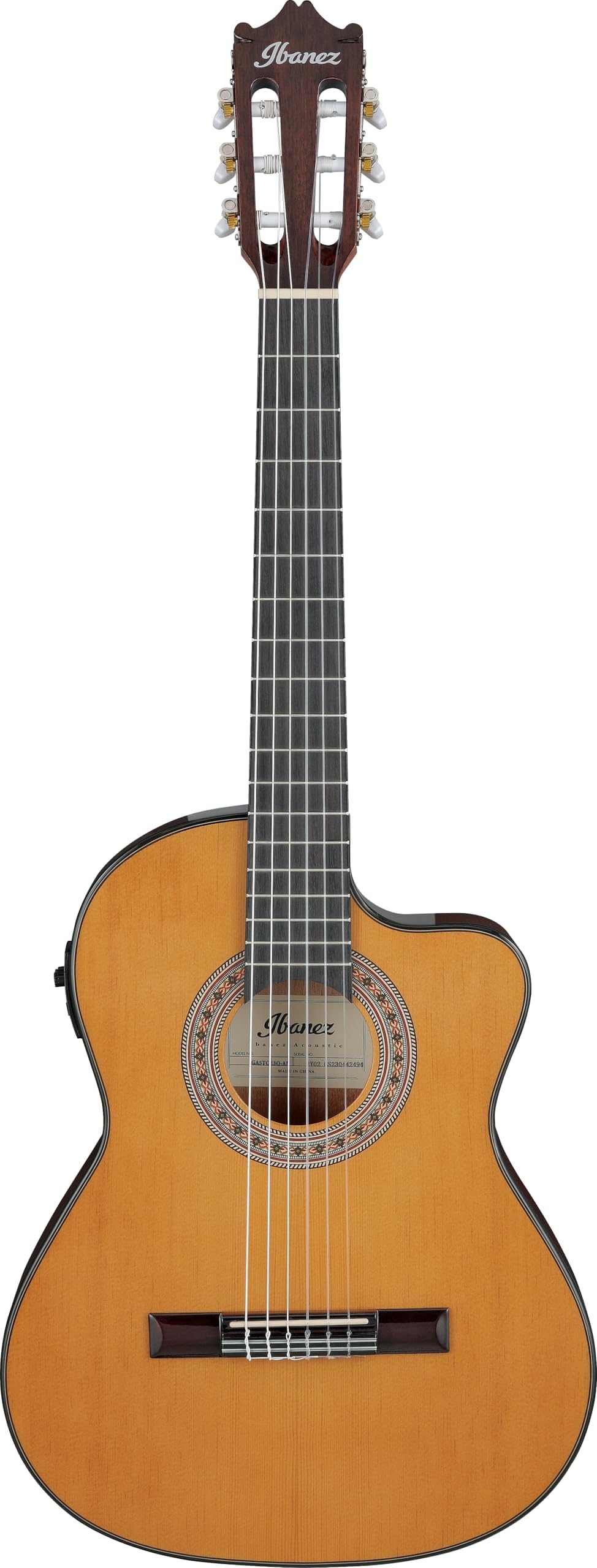 Amazon.com: Ibanez FRH10N Thinline Nylon Acoustic-electric Guitar ...