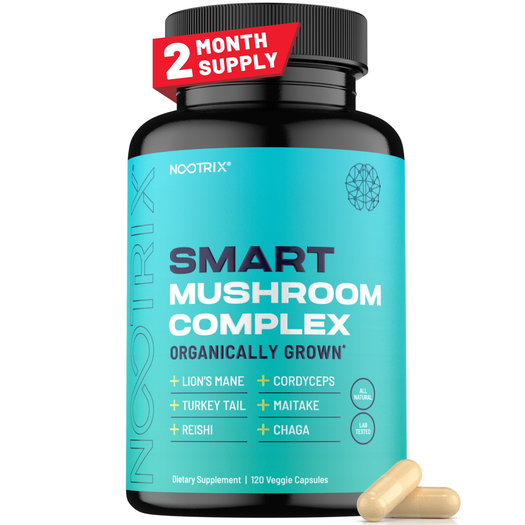 Snapklik.com : Smart Mushrooms Brain Supplement Nootropic For Memory ...