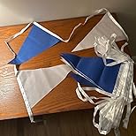 Amazon.com: LoveVC 100 Feet Blue White Pennant Banner Flags String ...