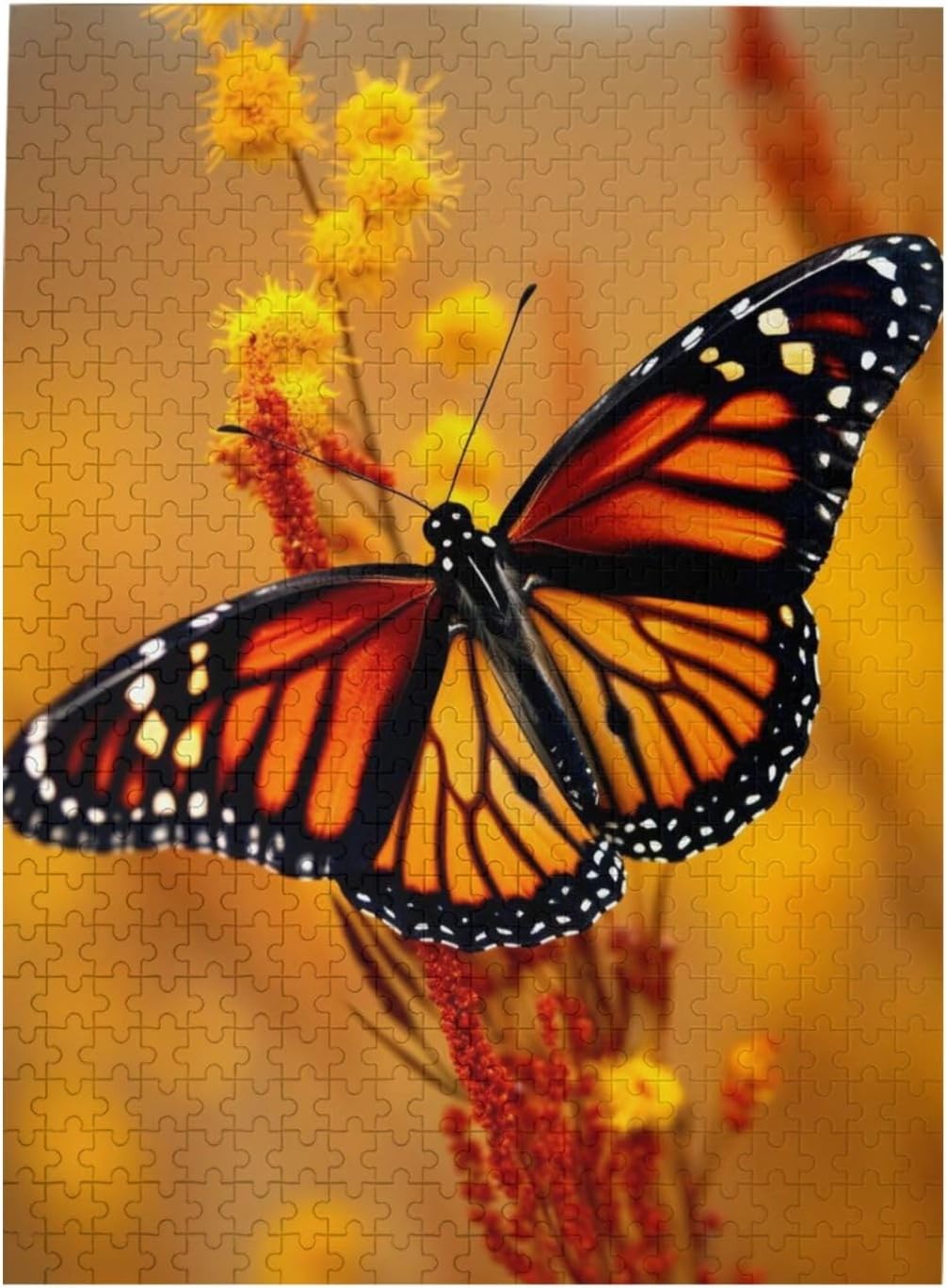 Amazon.com: 500 Pieces Wooden Jigsaw Puzzle for Adults Monarch ...