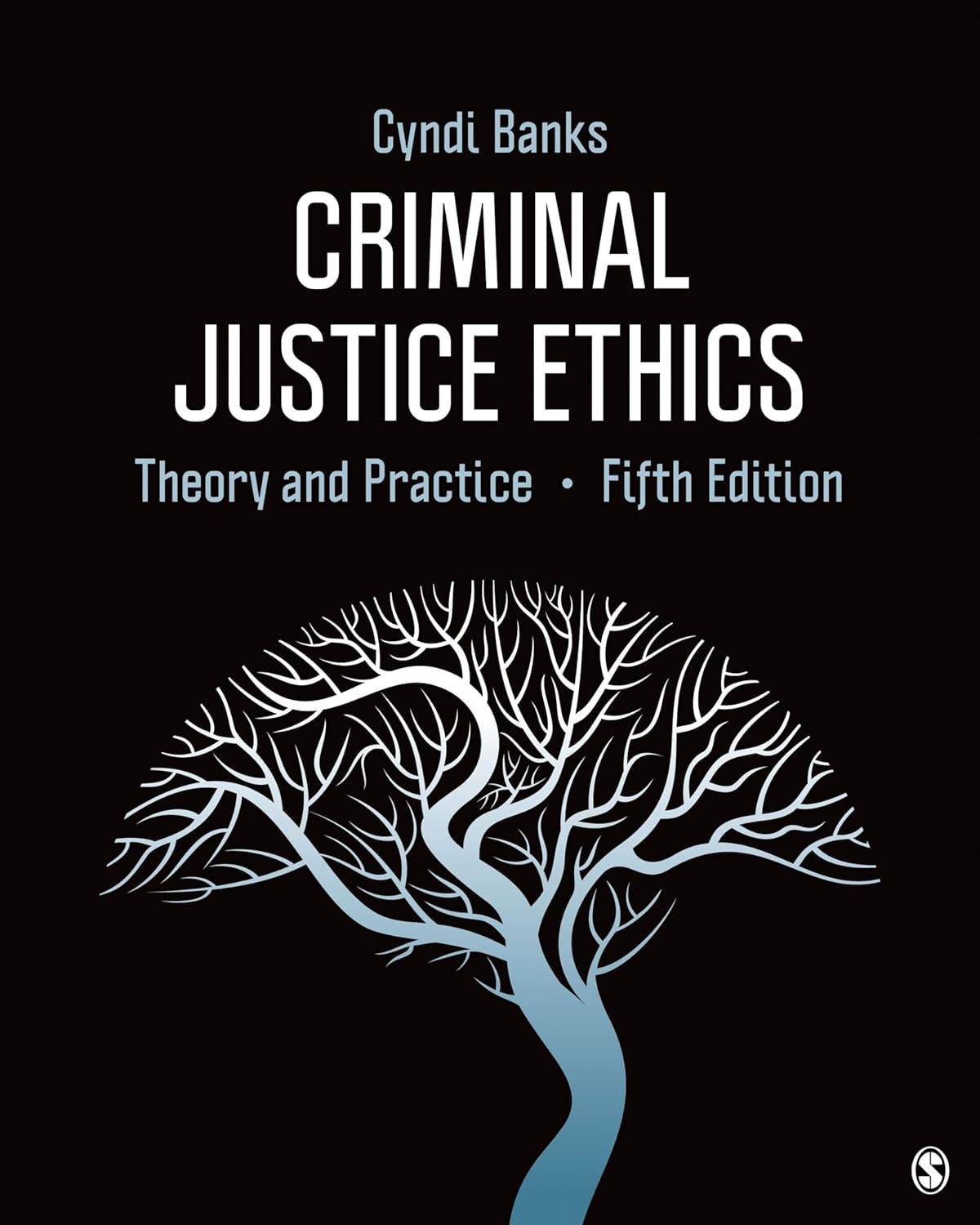 Criminal Justice Ethics: Theory and Practice: Banks, Cyndi L ...