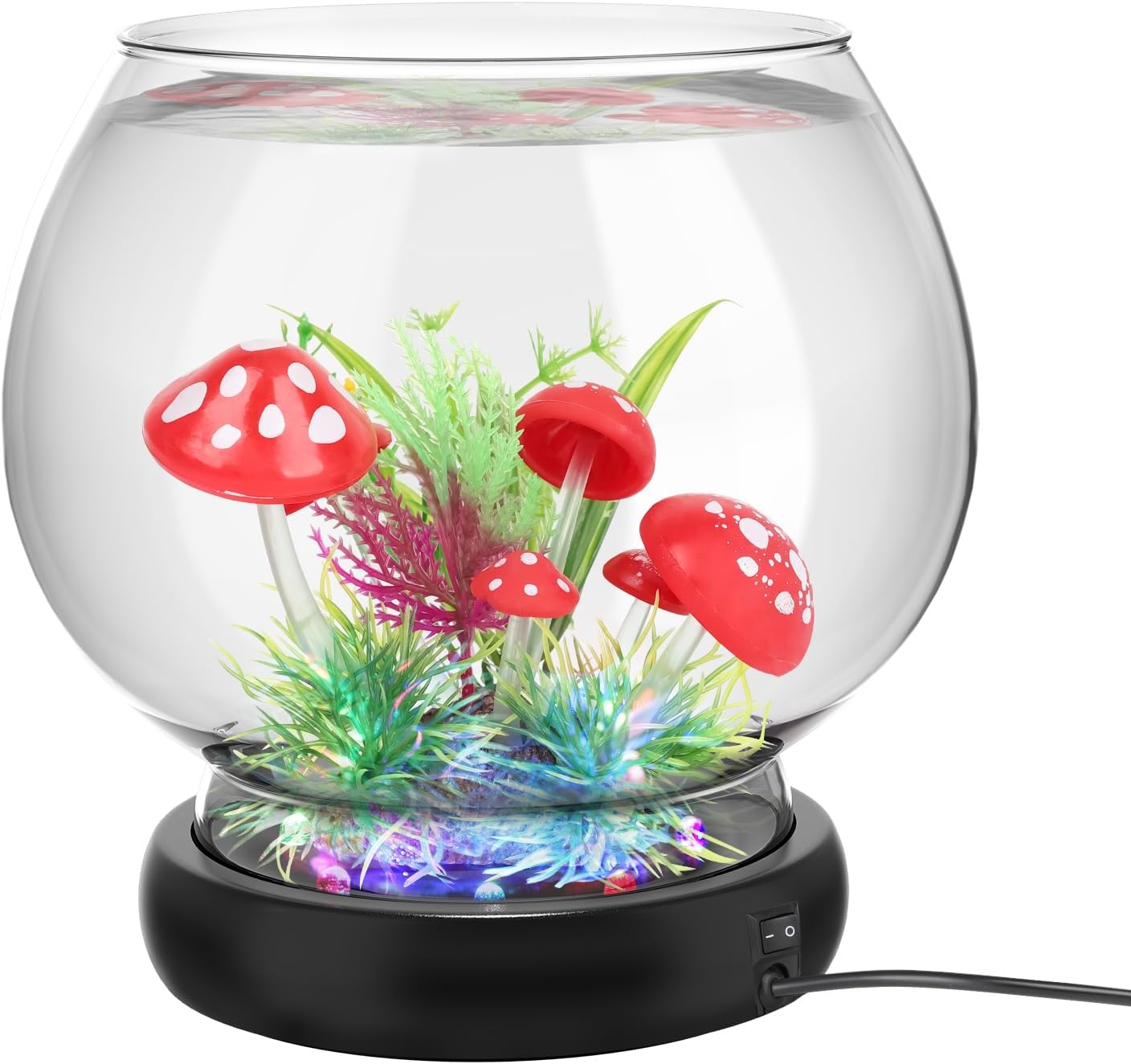 Amazon.com : hygger Mini Glass Oblate Fish Bowl Kit, Small Fish Tank ...
