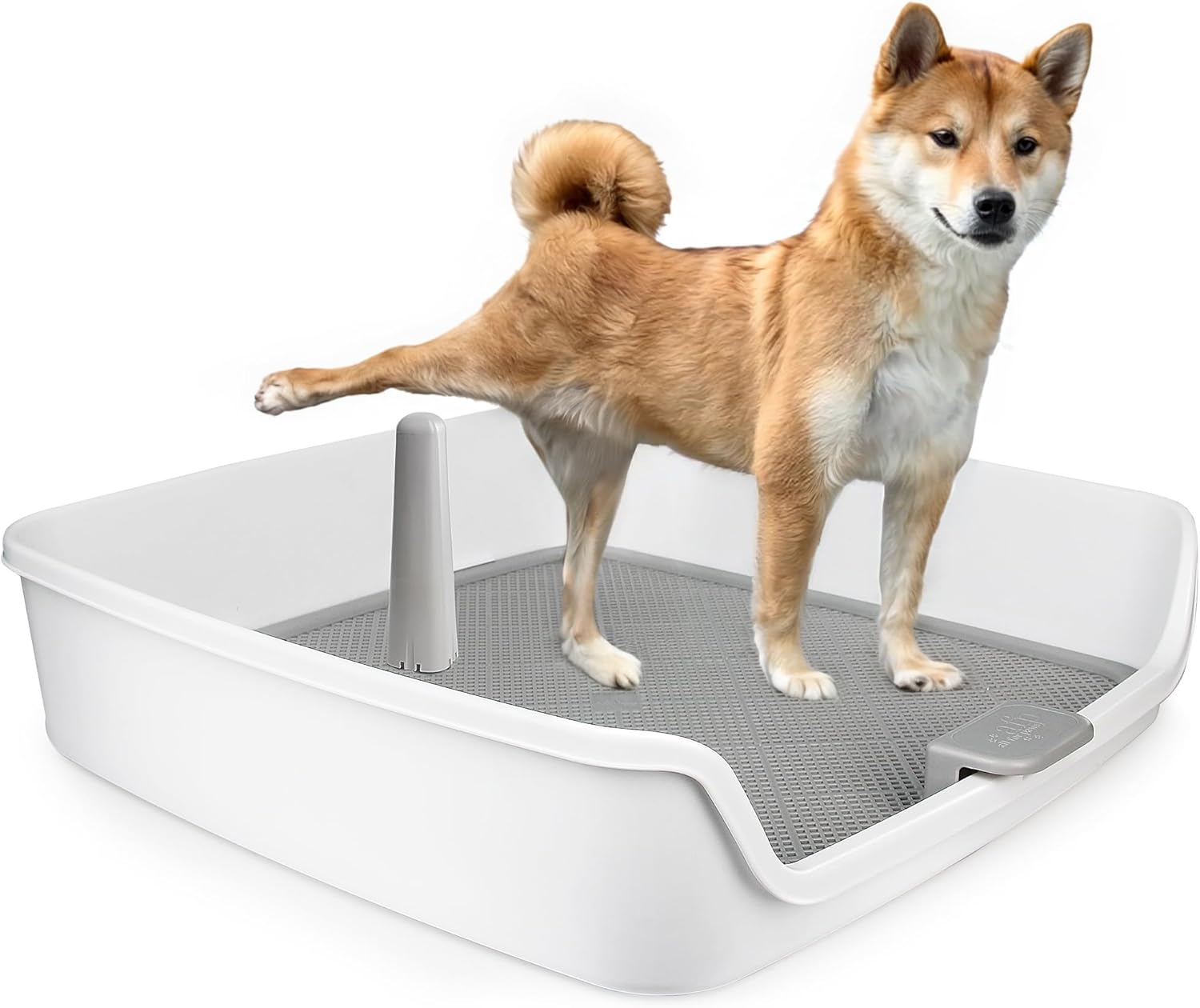 Amazon.com: ALL FOR PAWS Pee Pad Holder, Large Dog Litter Box, Dog ...