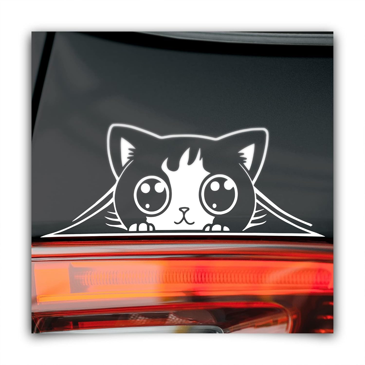 Amazon.com - Peeking Monster Cat Decal | Black Vinyl Sticker for Cars ...
