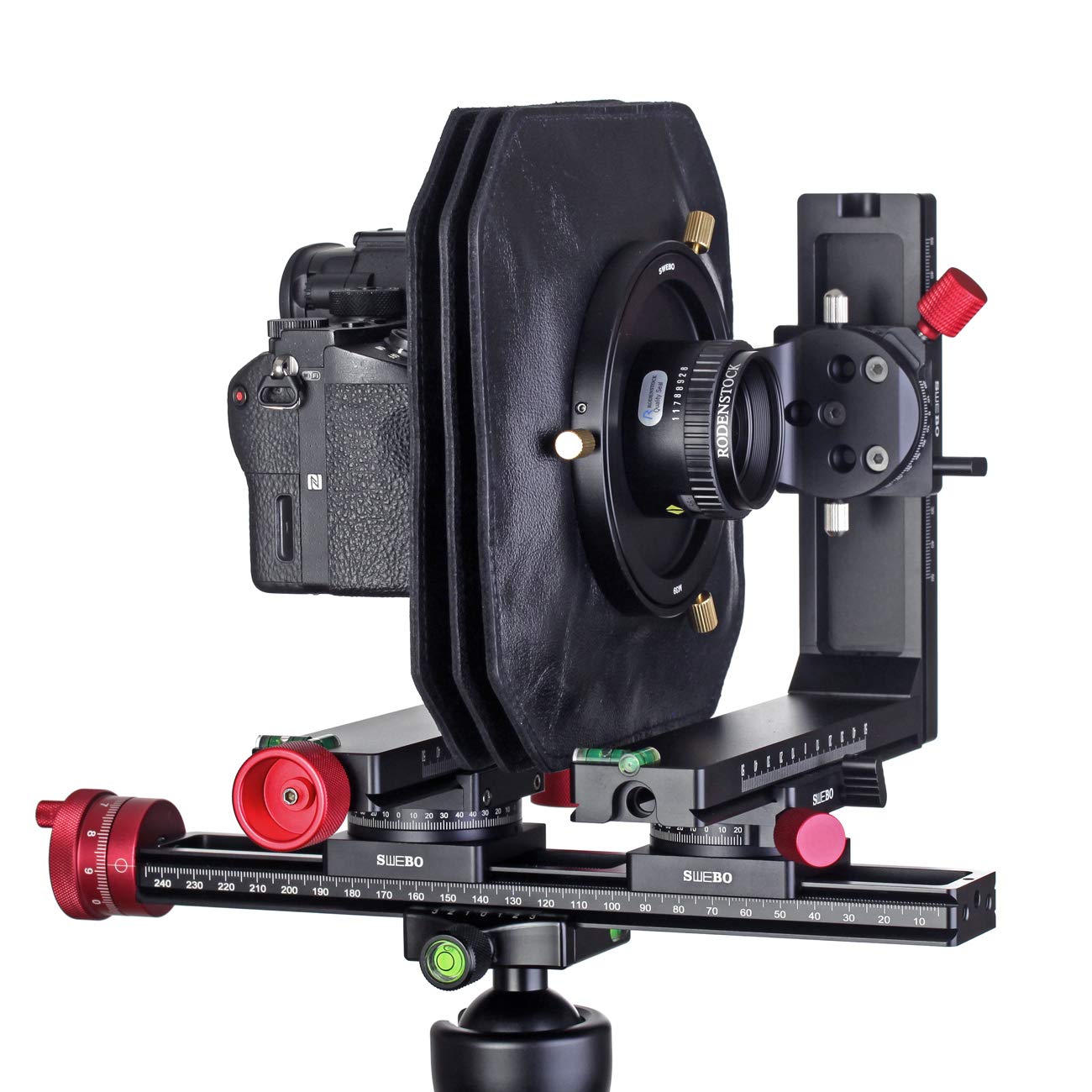 View Camera Movements