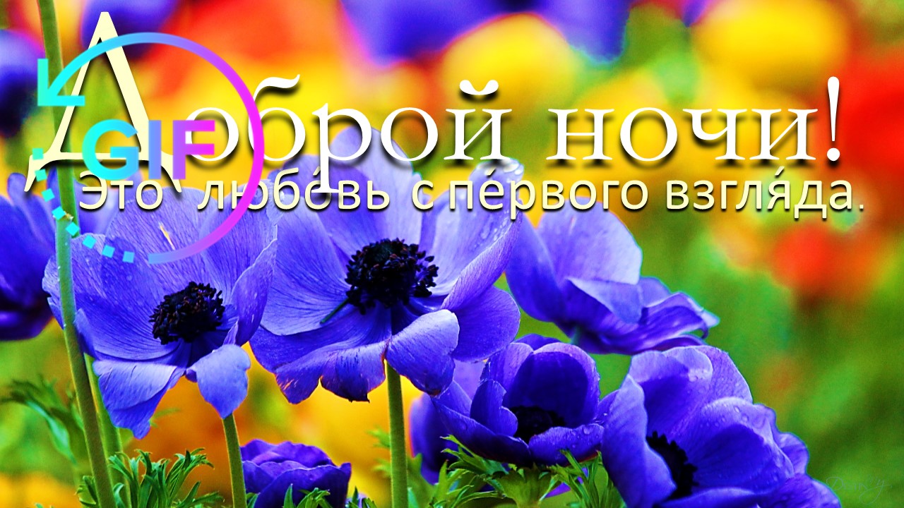 Good Night Gif with the best Russian Wishes - App on Amazon Appstore