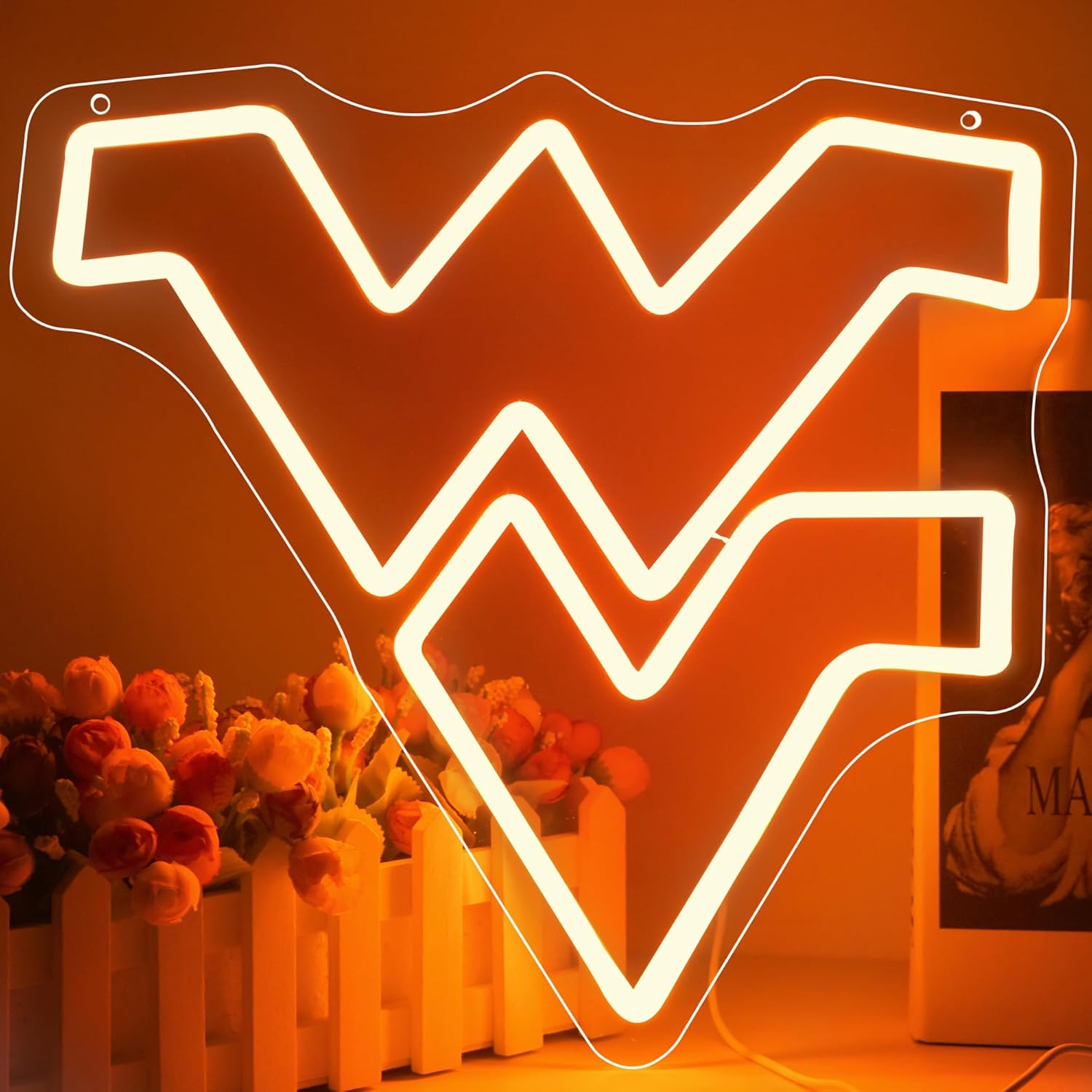 Amazon.com : West Virginia Neon Signs,College Neon LED Sign,University ...