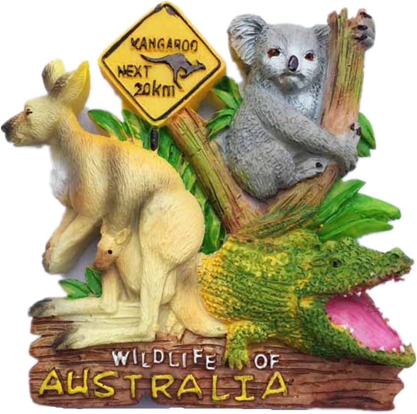 Amazon.com: Australia Animal Kangaroo Koala Crocodile Fridge Magnet ...