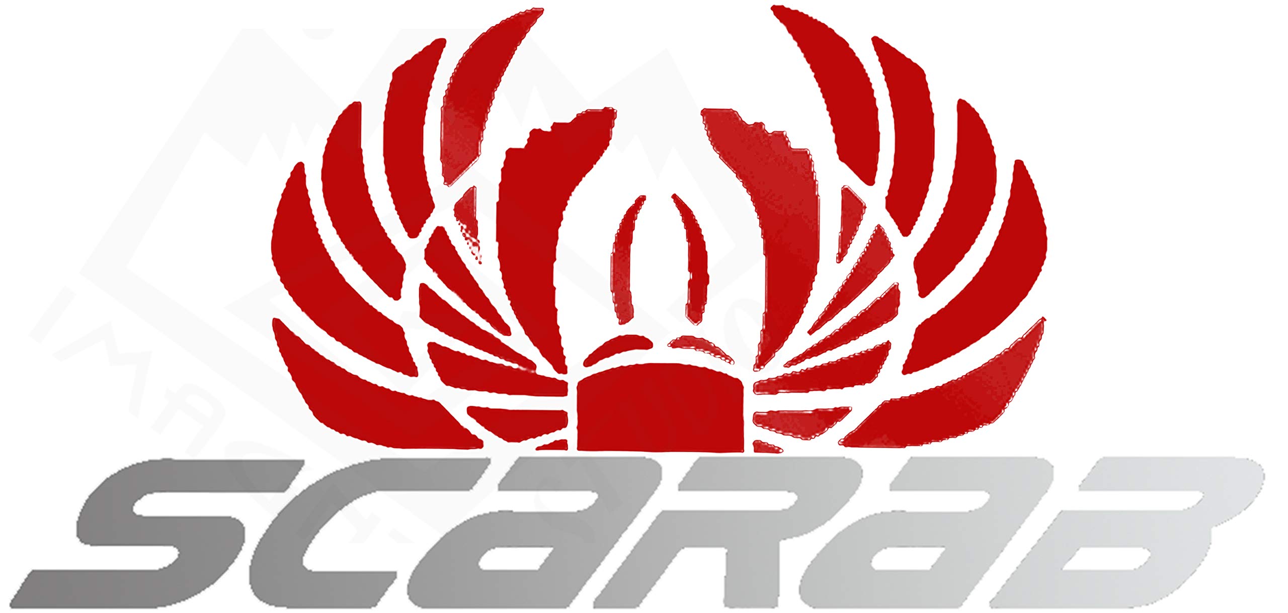Scarab Boat Logo