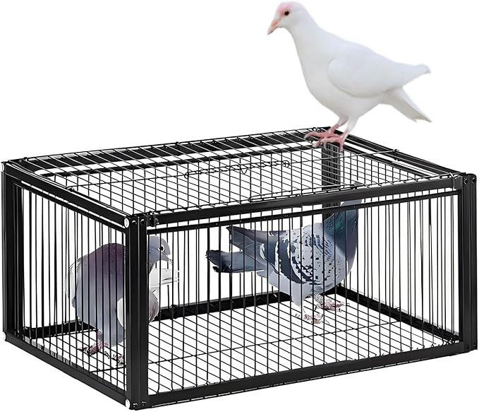Amazon.com : Pigeon Trap Cage, One-Way Entrance Escape-Proof Bird Traps ...