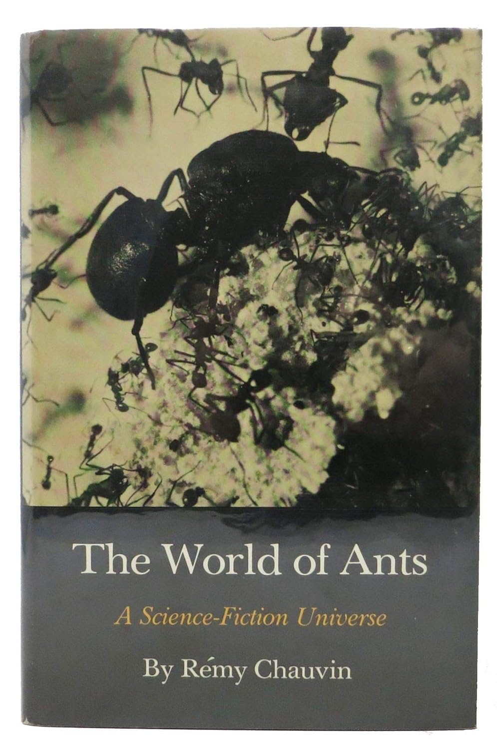 The World of Ants: A Science-Fiction Universe: Remy Chauvin, George ...